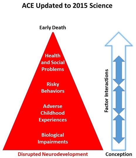 Grokking an Adverse Childhood Experiences (ACE) score | Surface Your ...