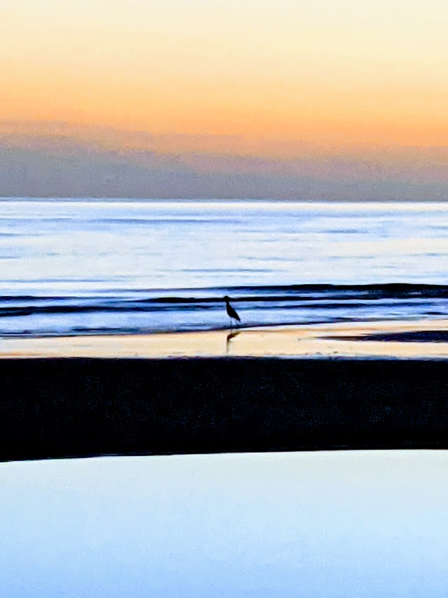 Vitamin K2 forms and effects | Surface Your Real Self