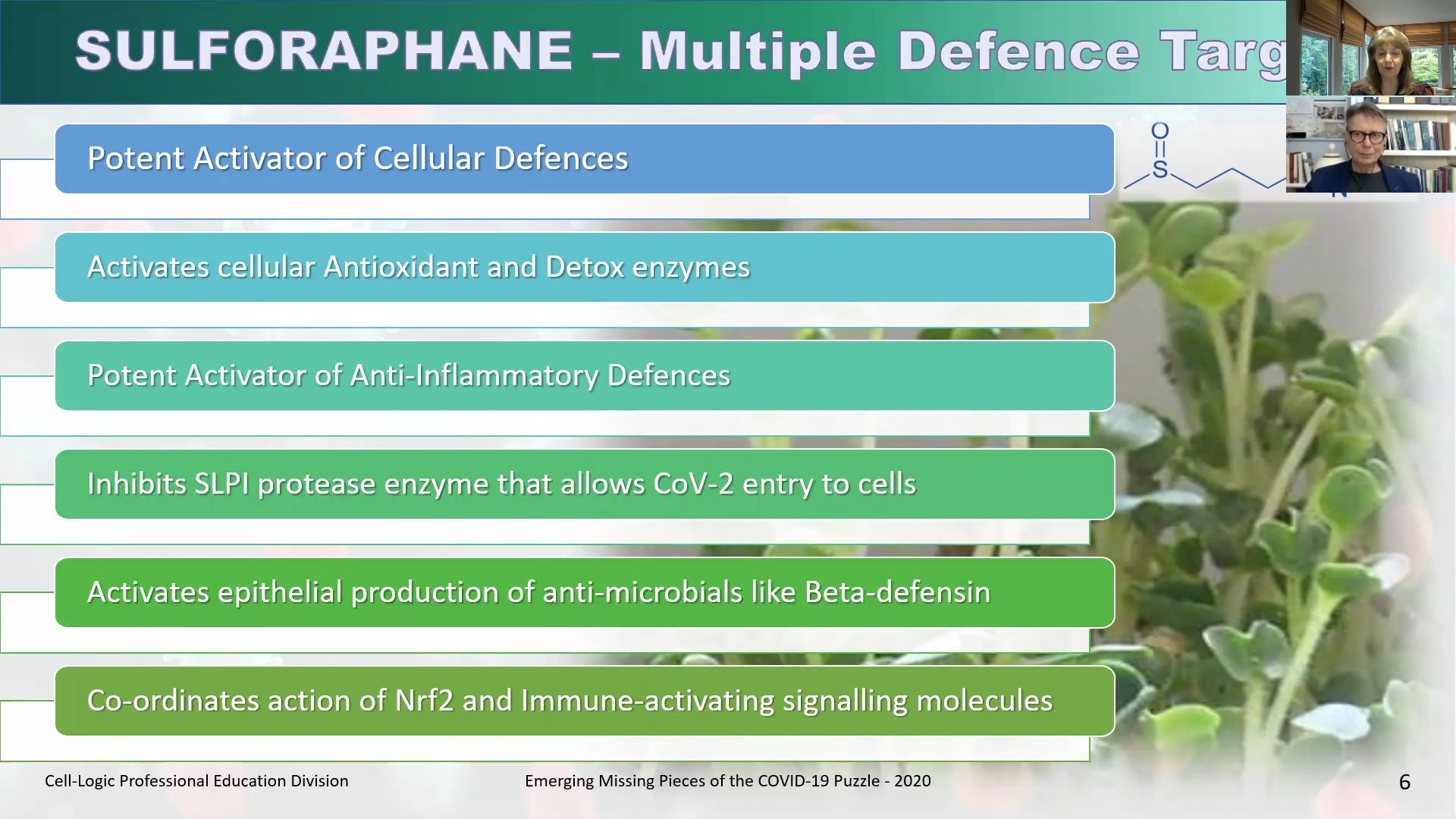 Part 3 of Switch on your Nrf2 signaling pathway | Surface Your Real Self