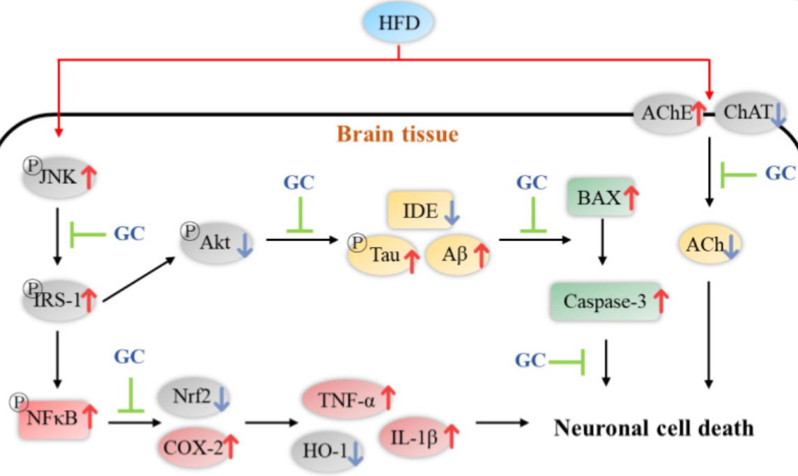 All about walnuts’ effects | Surface Your Real Self