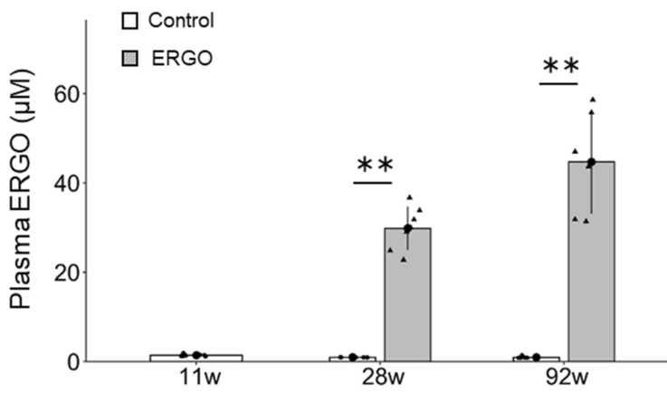 Ergothioneine dosing, Part 2 | Surface Your Real Self
